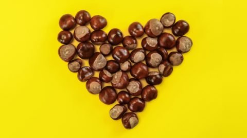 Chestnuts: When and how to eat them - youwillfit Blog